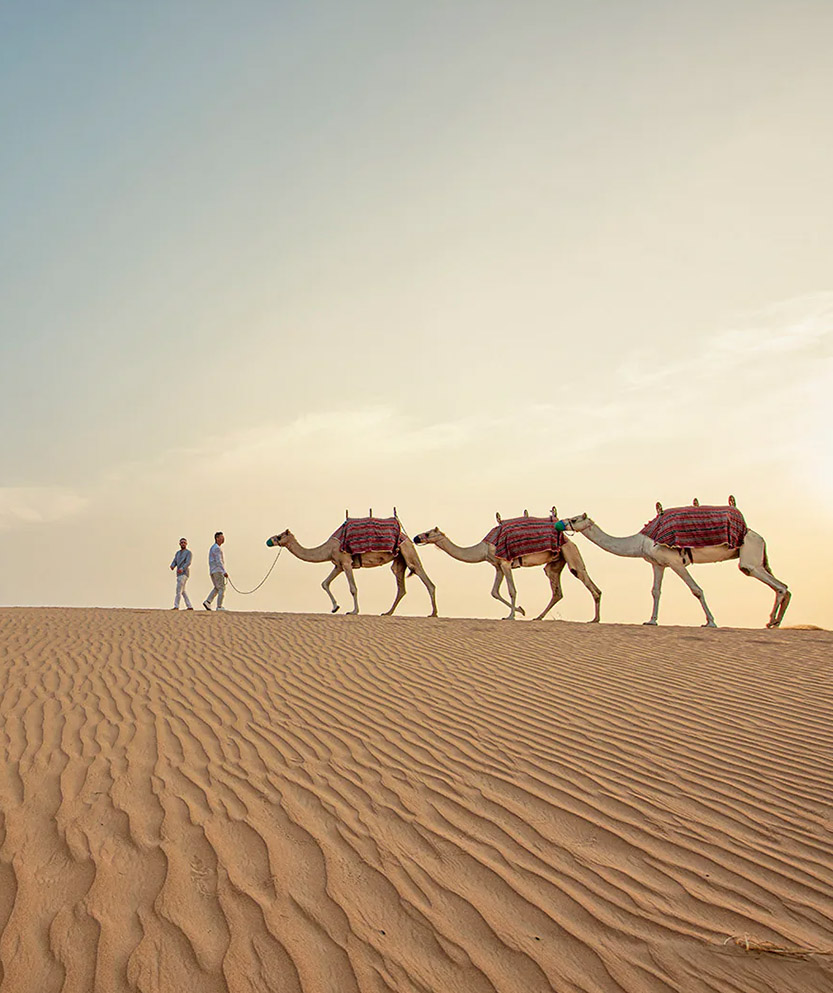 Exclusive Luxe Tours – Discover Luxury Living: Explore, Experience, Invest